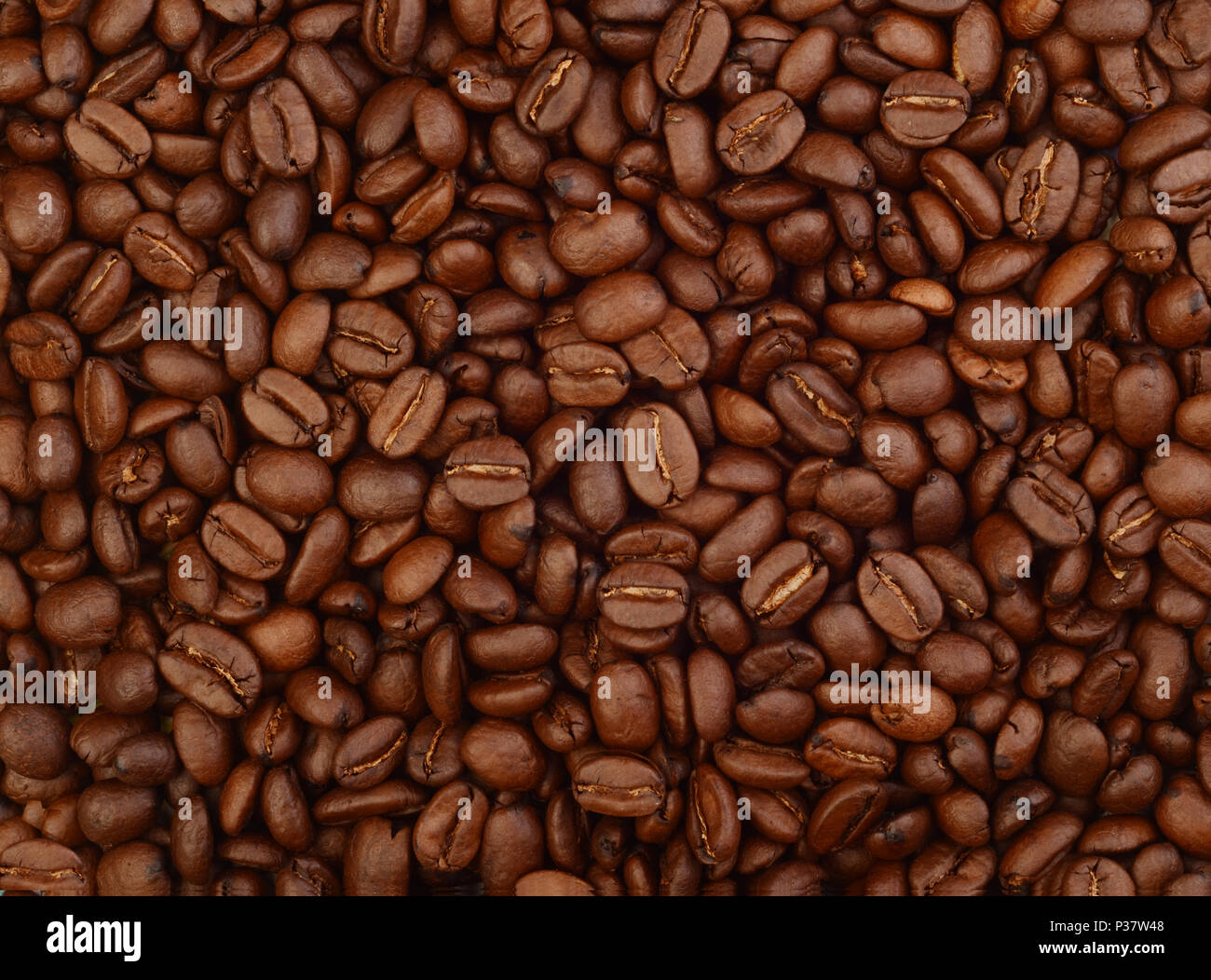Sample coffee beans hi-res stock photography and images - Alamy
