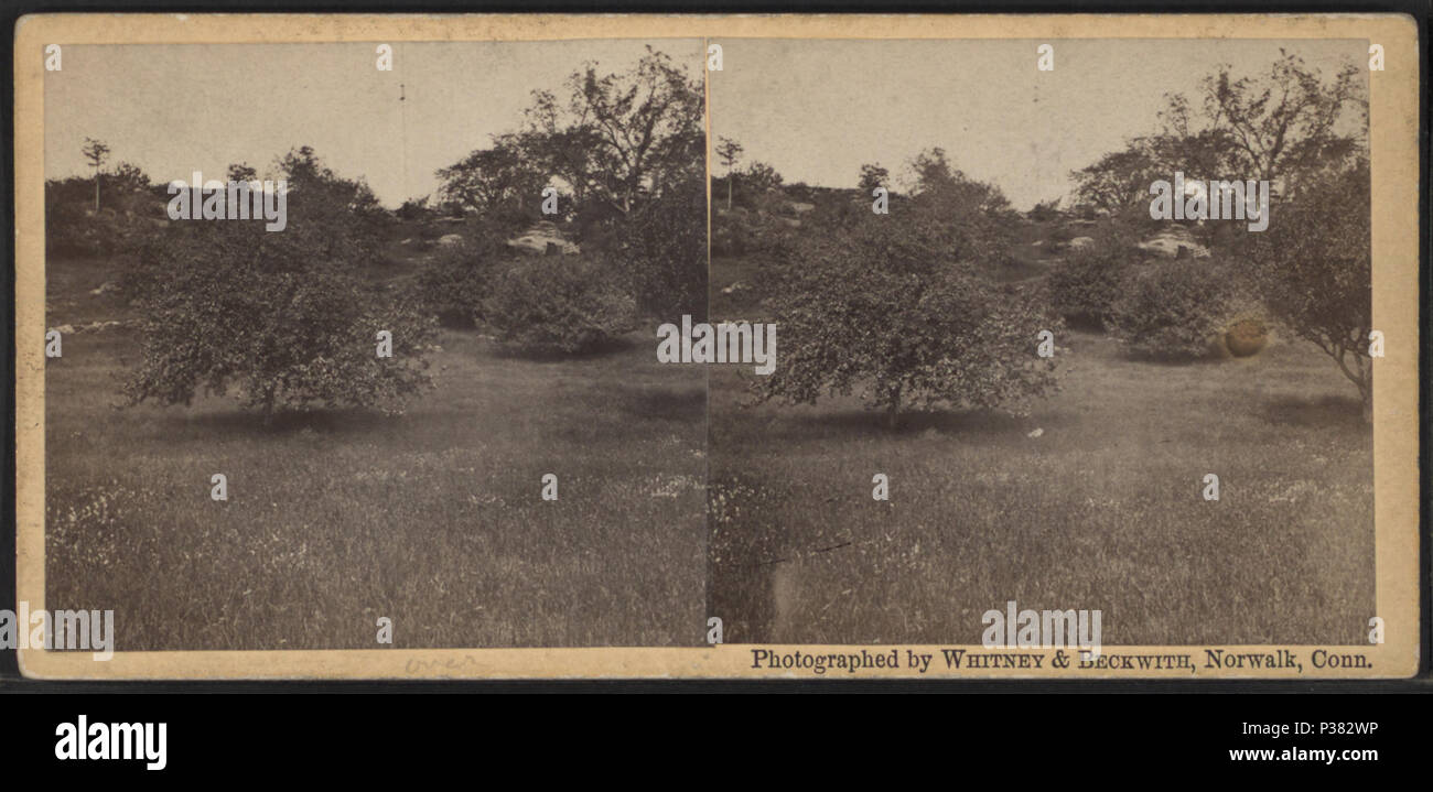 Putnams hi-res stock photography and images - Alamy