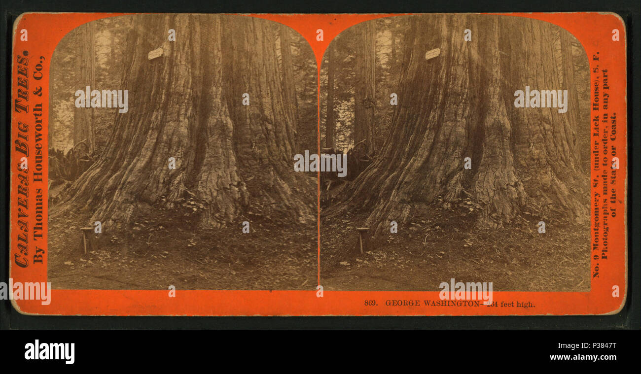 234 feet hi-res stock photography and images - Alamy