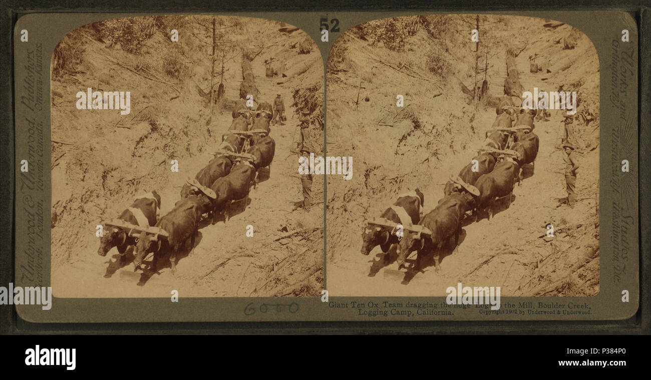 Camp 5 logging camp hi-res stock photography and images - Alamy