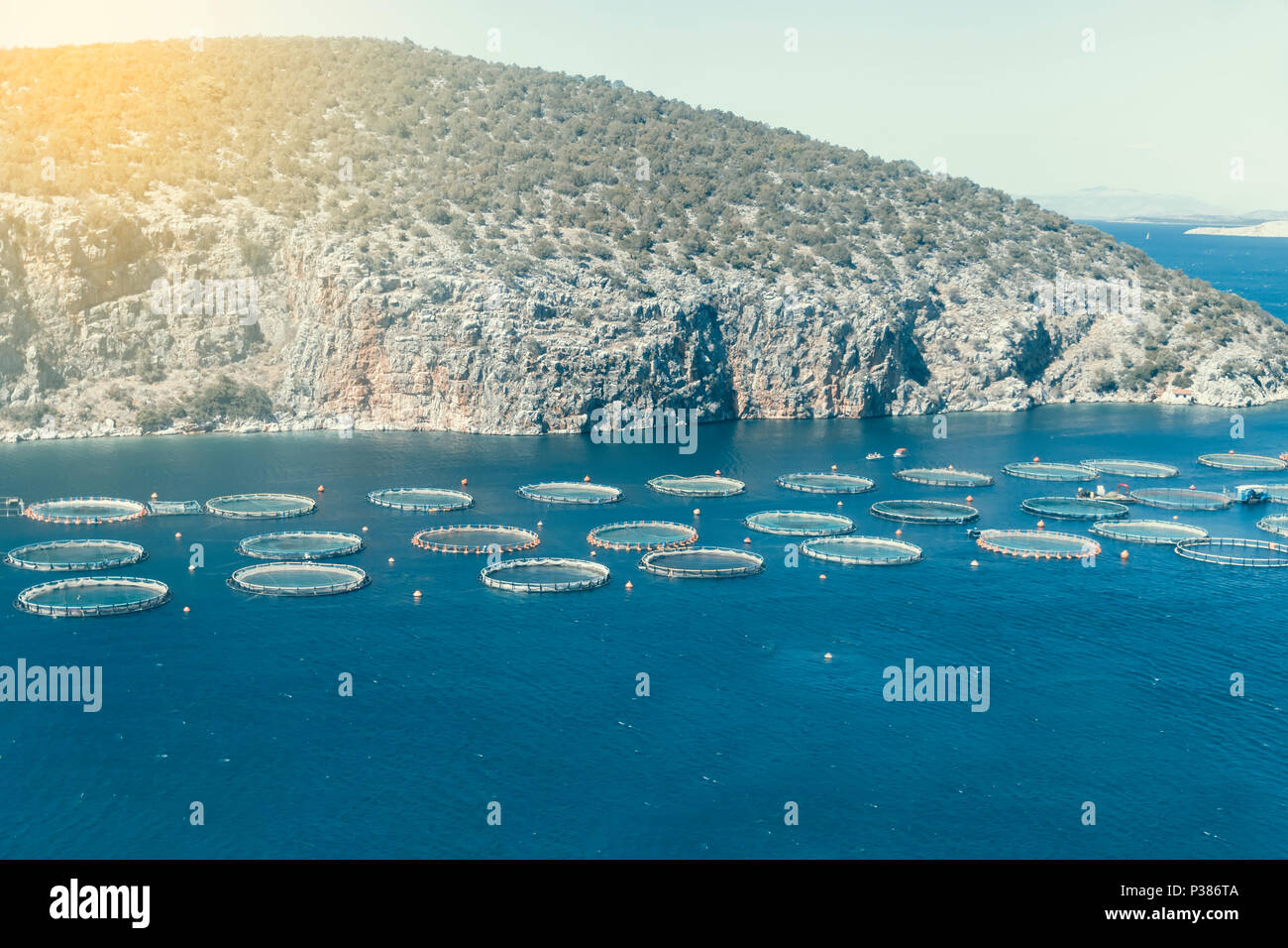 Fish farming in the Saronic Gulf near Epidaurus, Peloponnese, Greece ...
