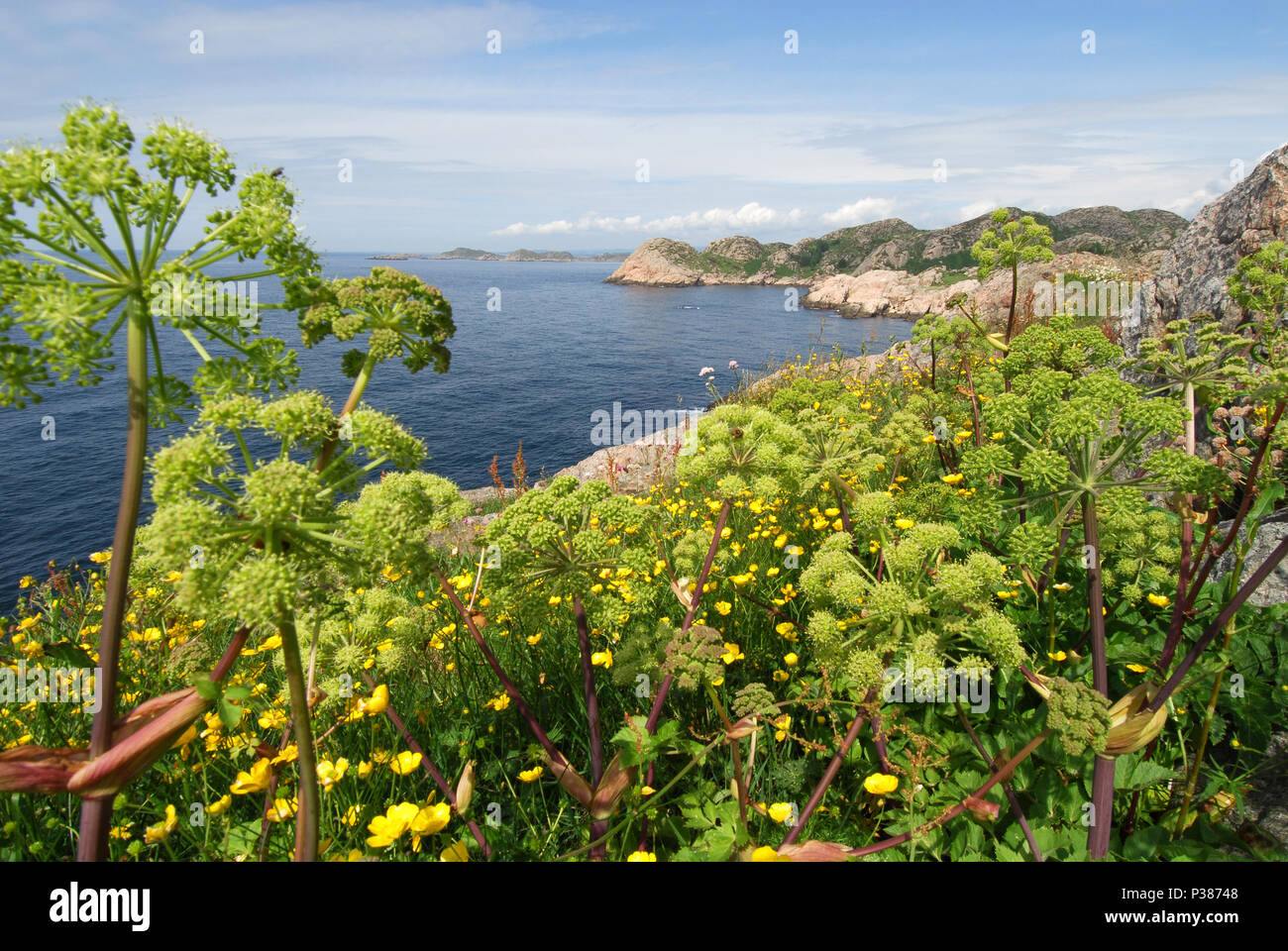Lindesnes, Norway, coast at Cape Lindesnes Stock Photo - Alamy