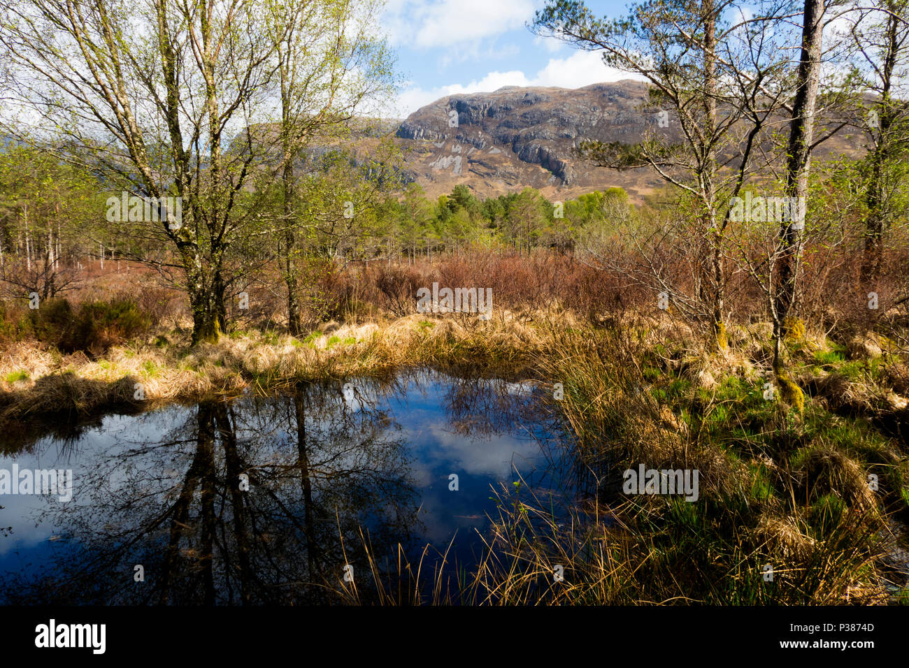Pond in Wester Ross Scotland Stock Photo - Alamy