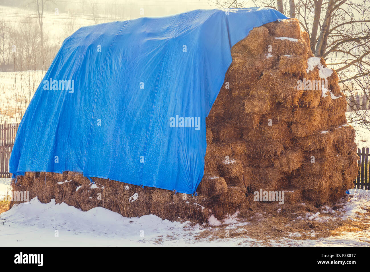 Large stack of straw bales in winter time. Pile of straw stack. Vintage ...