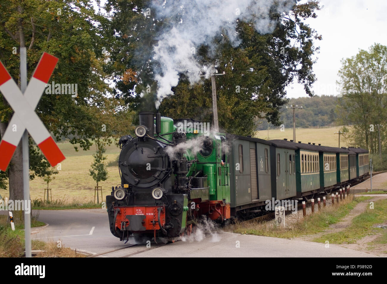 Ruegen narrow gauge railway hi-res stock photography and images - Alamy