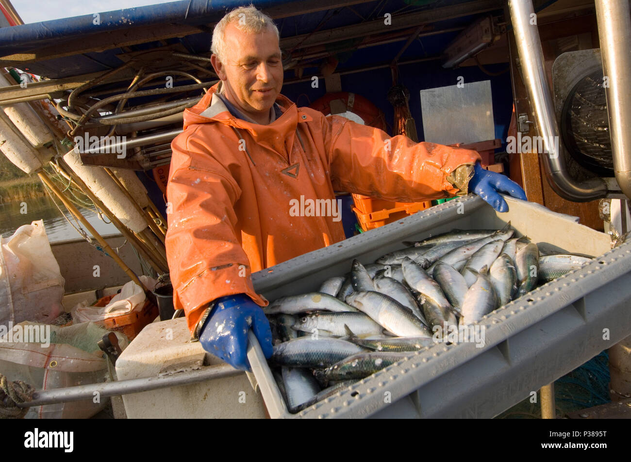 Baltic herring trawler hi-res stock photography and images - Alamy