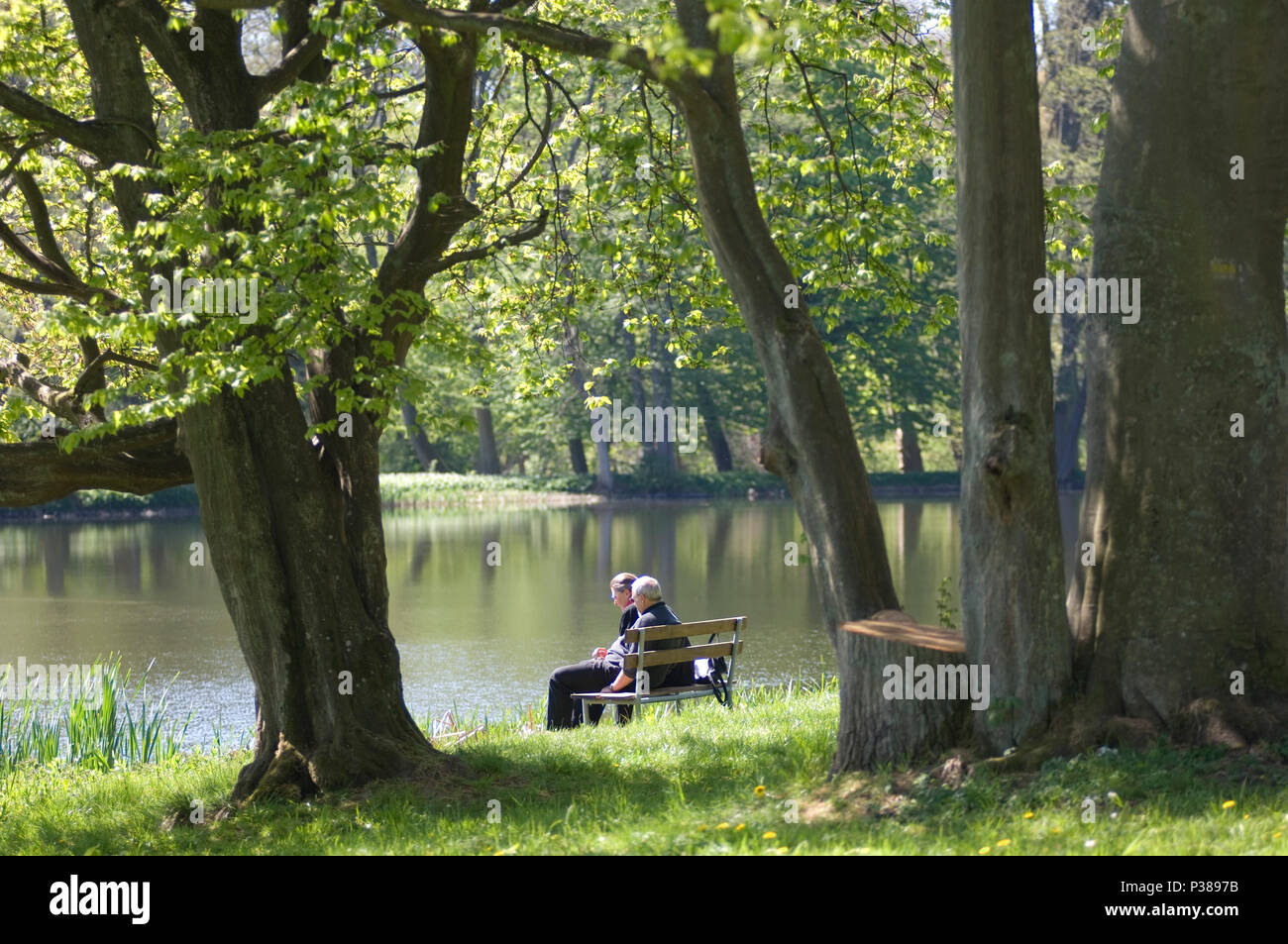 Putbus, Germany, visitors are sitting at the swan pond in the castle ...