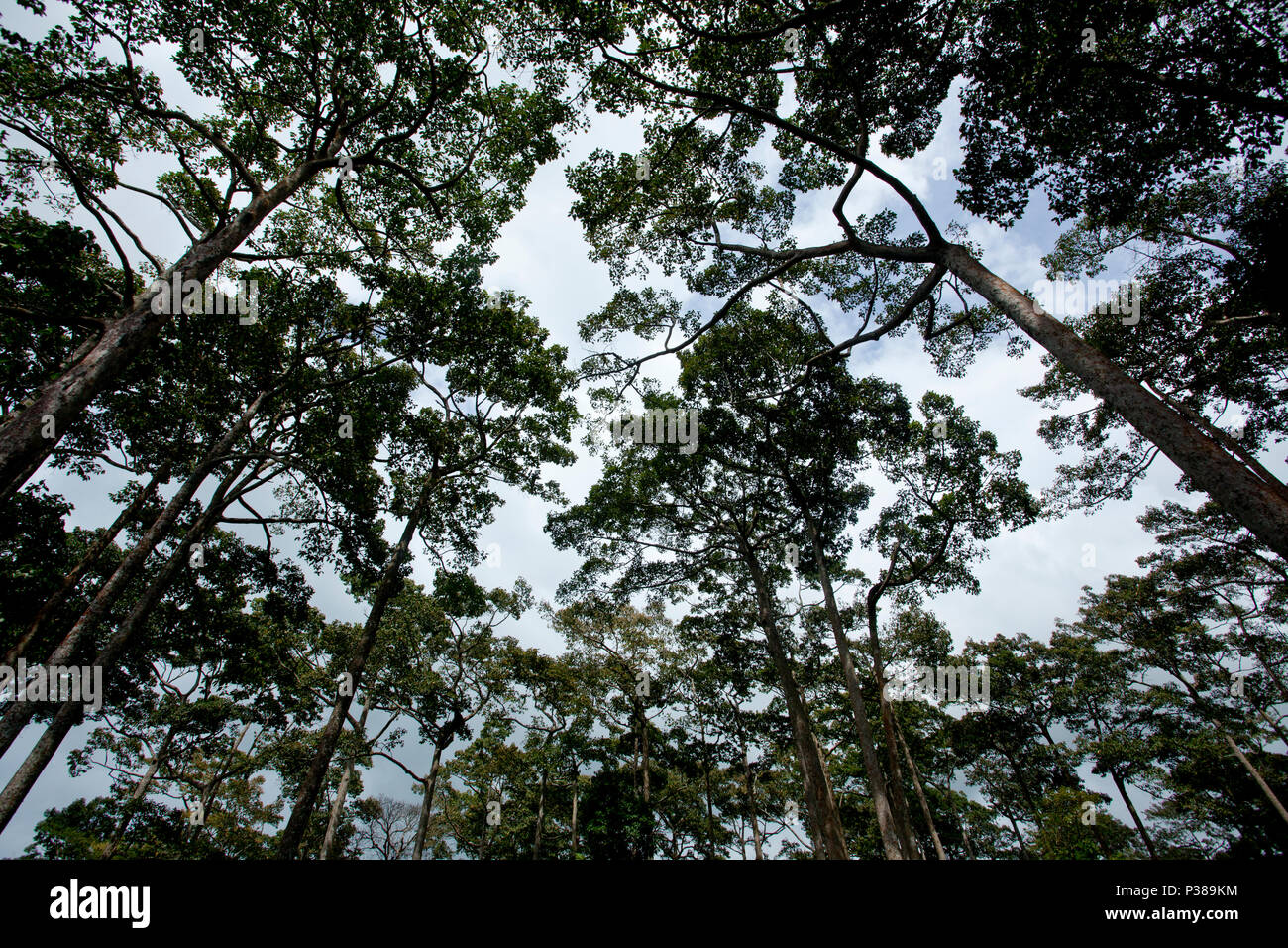 Mother garjan hi-res stock photography and images - Alamy