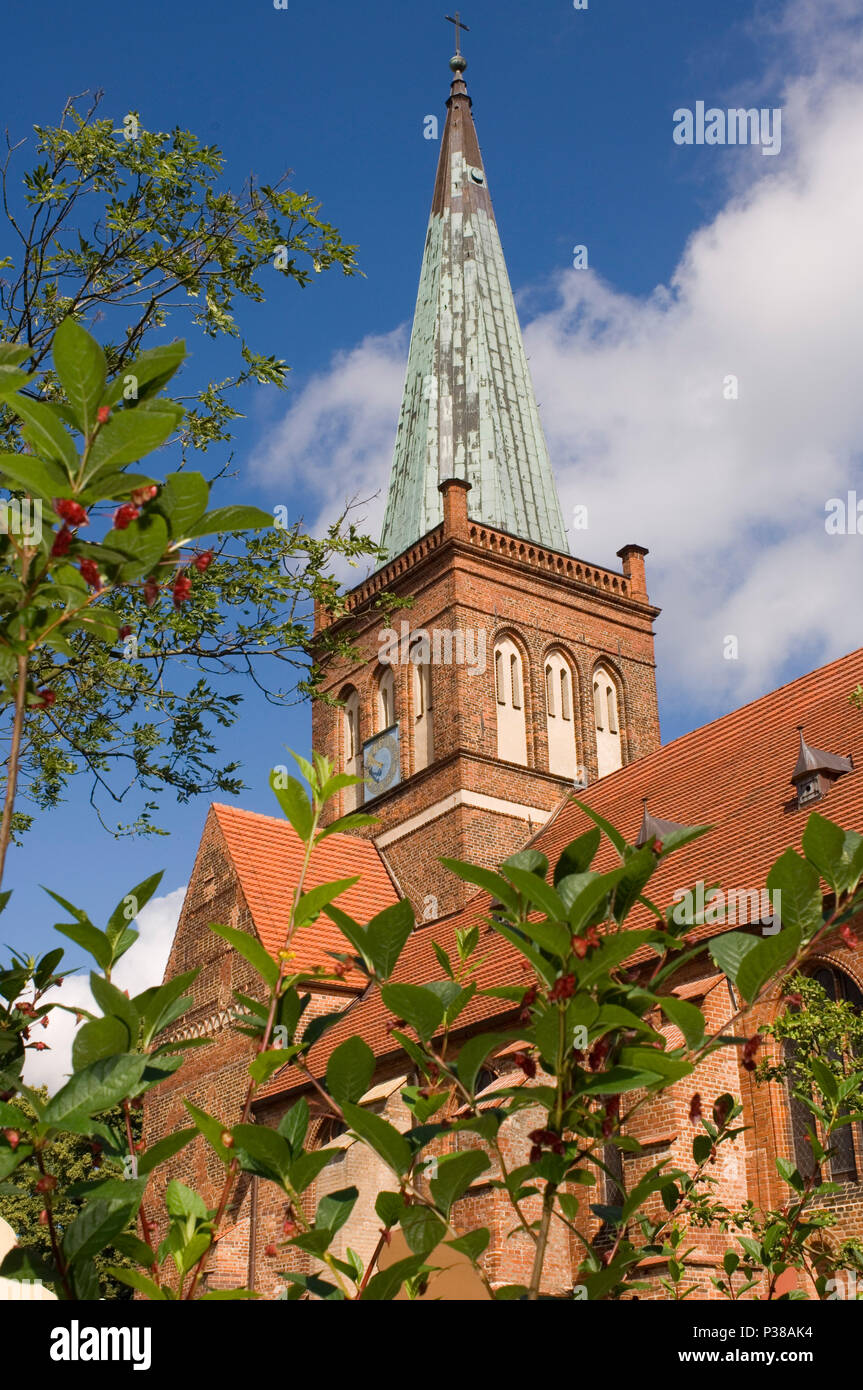 Bergen, Germany, the St. Mary's Church Stock Photo - Alamy