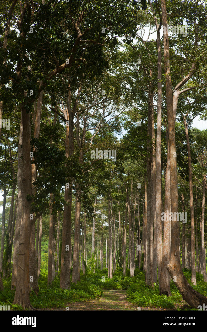 Mother garjan hi-res stock photography and images - Alamy