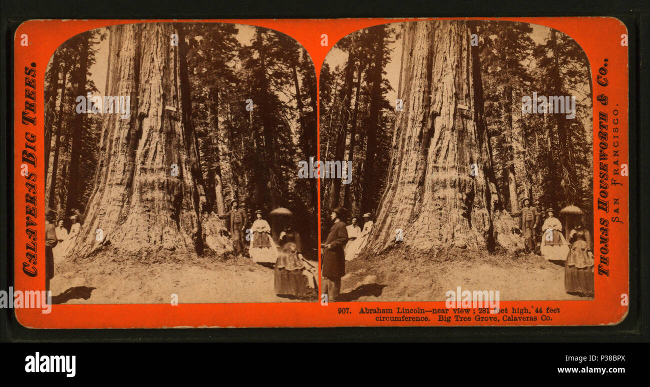 41 feet circumference hi-res stock photography and images - Alamy