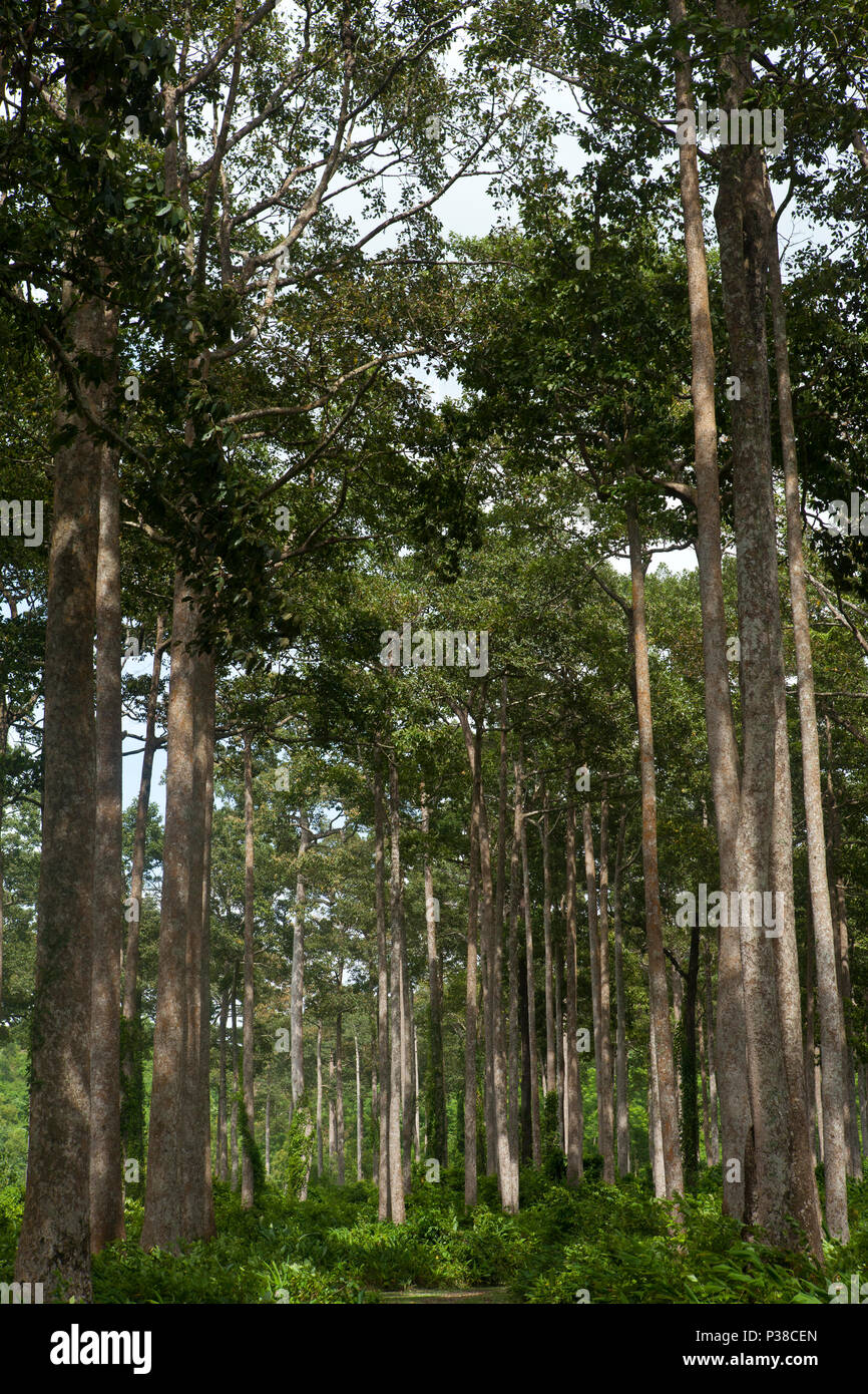 Mother garjan hi-res stock photography and images - Alamy