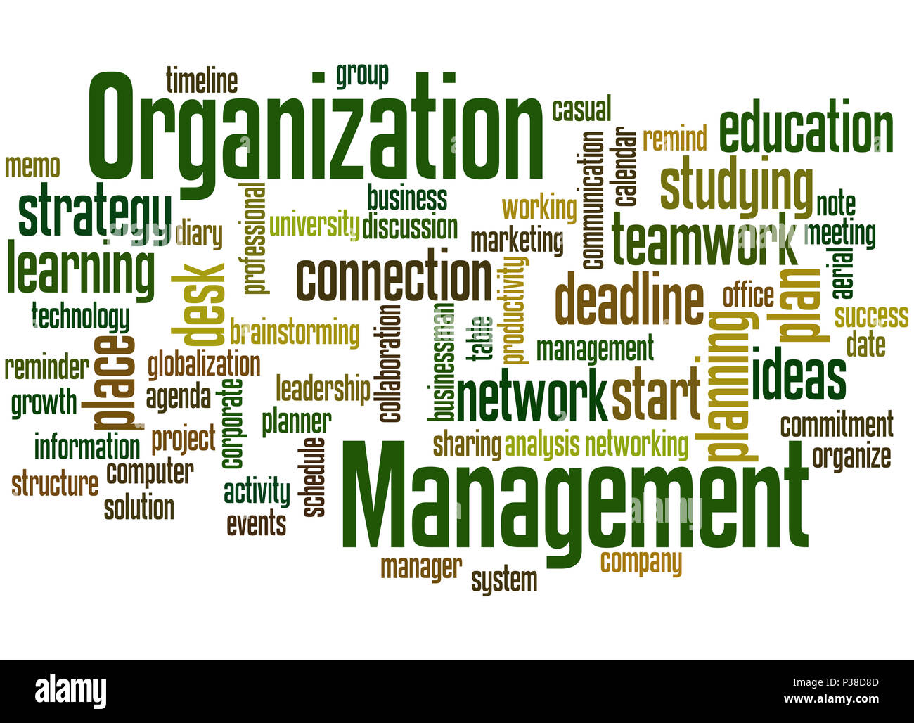 Organization Management, word cloud concept on white background Stock ...