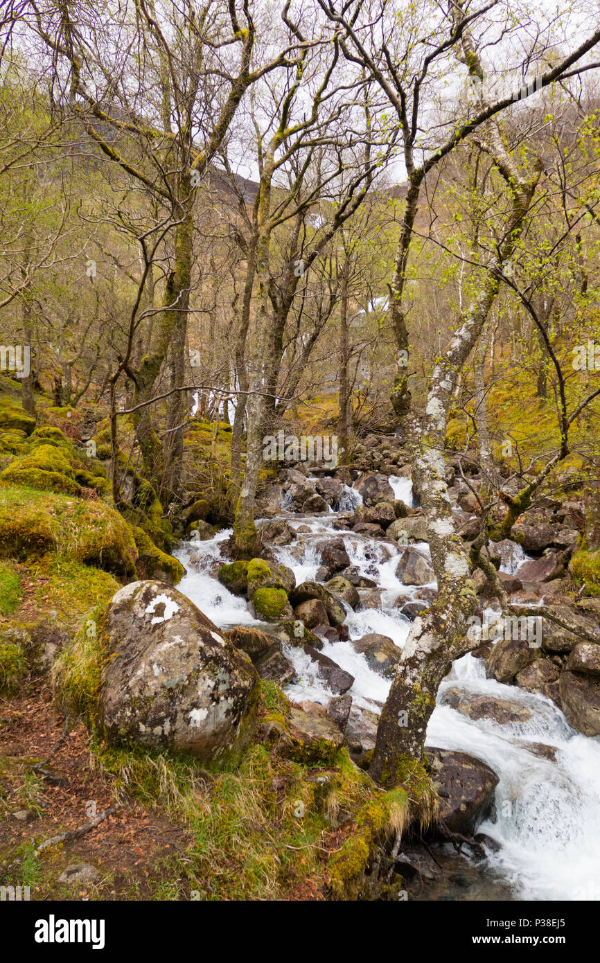 River Nevis Glen Nevis Scotland Stock Photo - Alamy