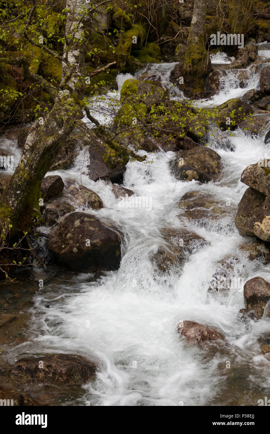 The river nevis hi-res stock photography and images - Alamy