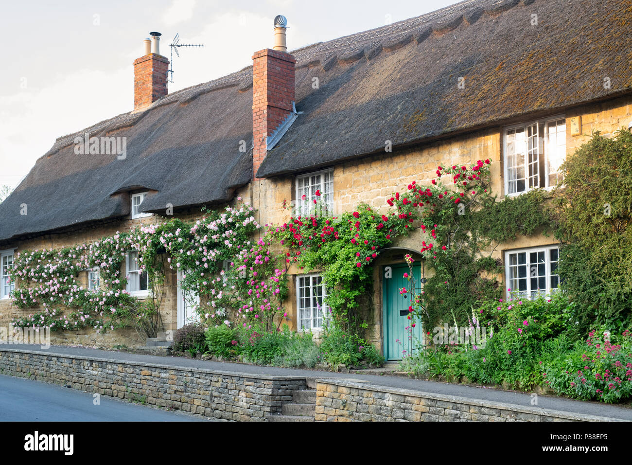 Cottage Roses Around The Door High Resolution Stock Photography and ...