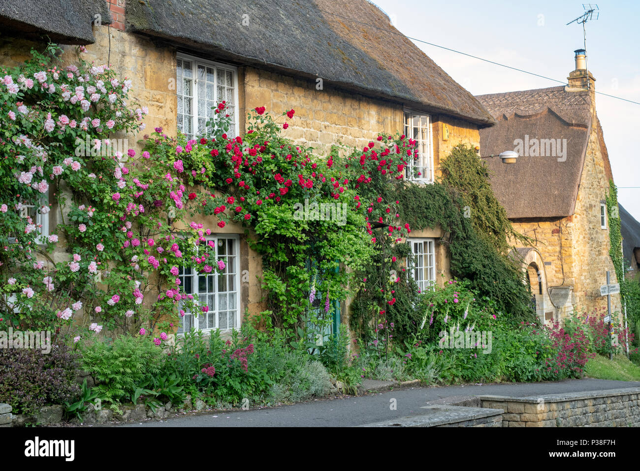 Cottage roses around the door hi-res stock photography and images - Alamy