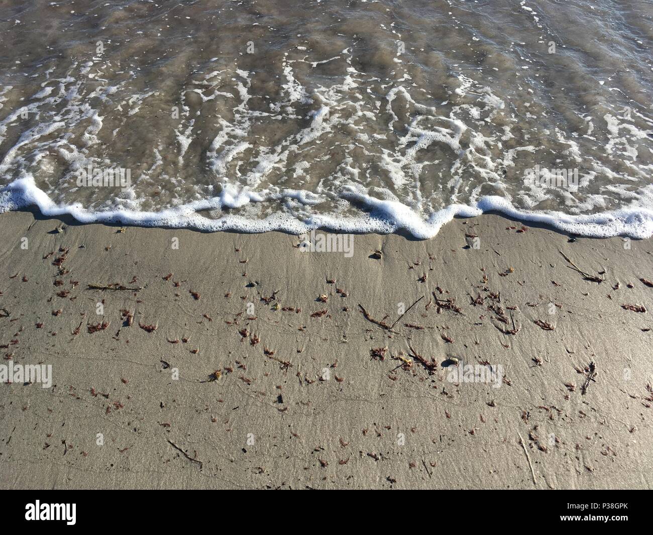 Beach foam Where the sea meets the sand Stock Photo - Alamy