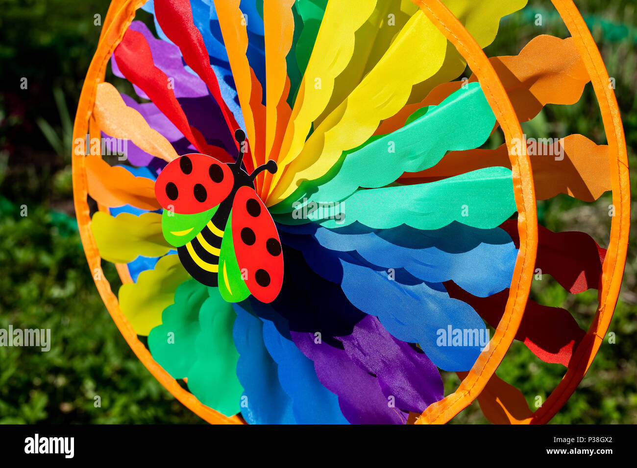 spinner toy on green nature background.multi colored round pinwheel in ...