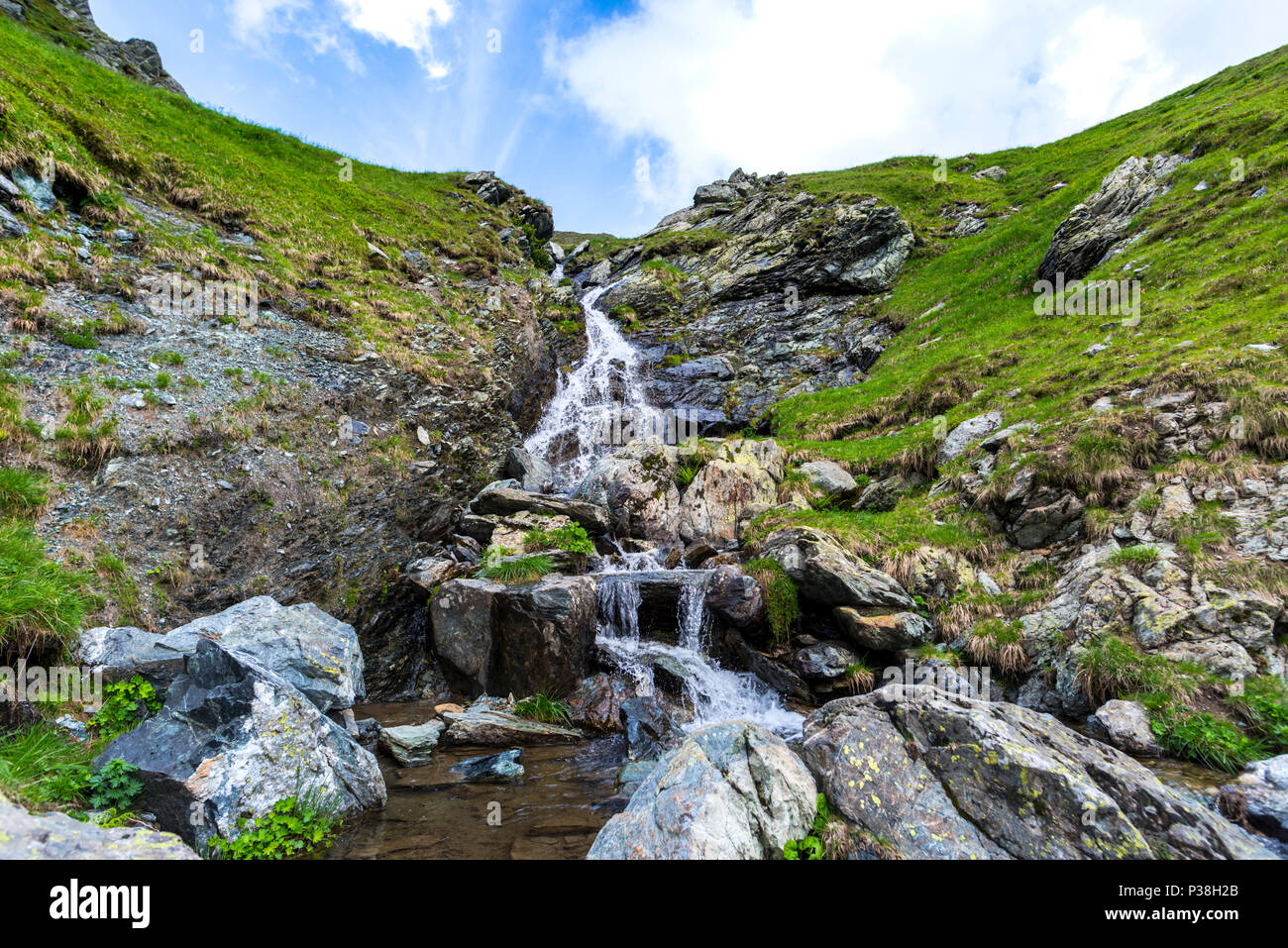 Amazing wild river in Carpathian Mountains, Romania Stock Photo - Alamy