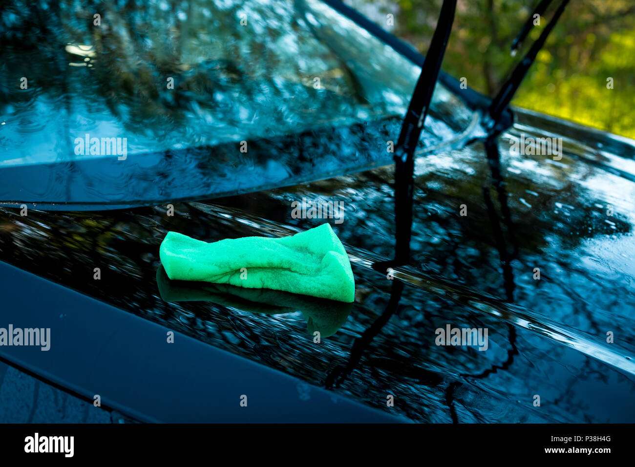 green sponge over the car for washing. Car washing outdoor. Cleaning ...