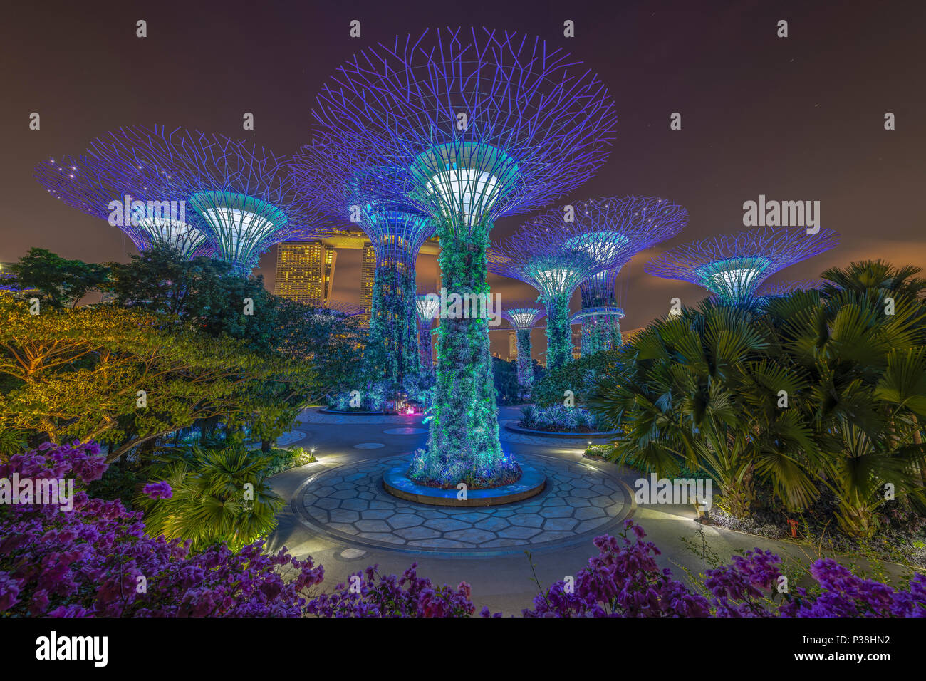 Singapore - April 13: Night view of the Supertree Grove in the Garden ...