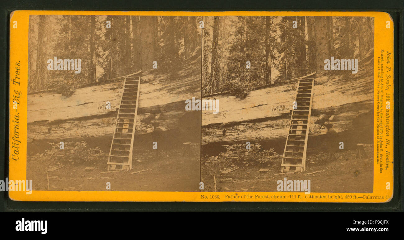 33 Feet High Resolution Stock Photography and Images - Alamy