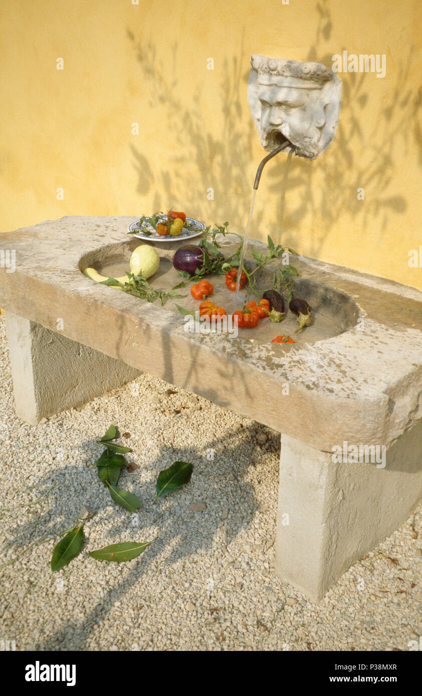 Lion-head tap pouring water into old stone sink with freshly picked ...