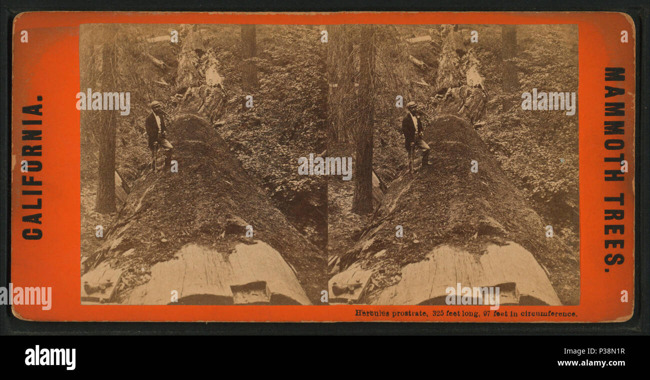 97 Feet High Resolution Stock Photography and Images - Alamy