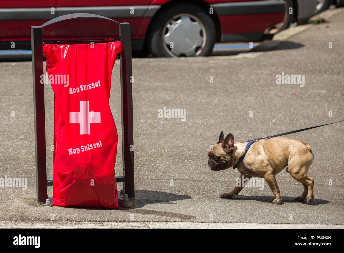 Geneva Switzerland, during the football world cup all the bags of ...