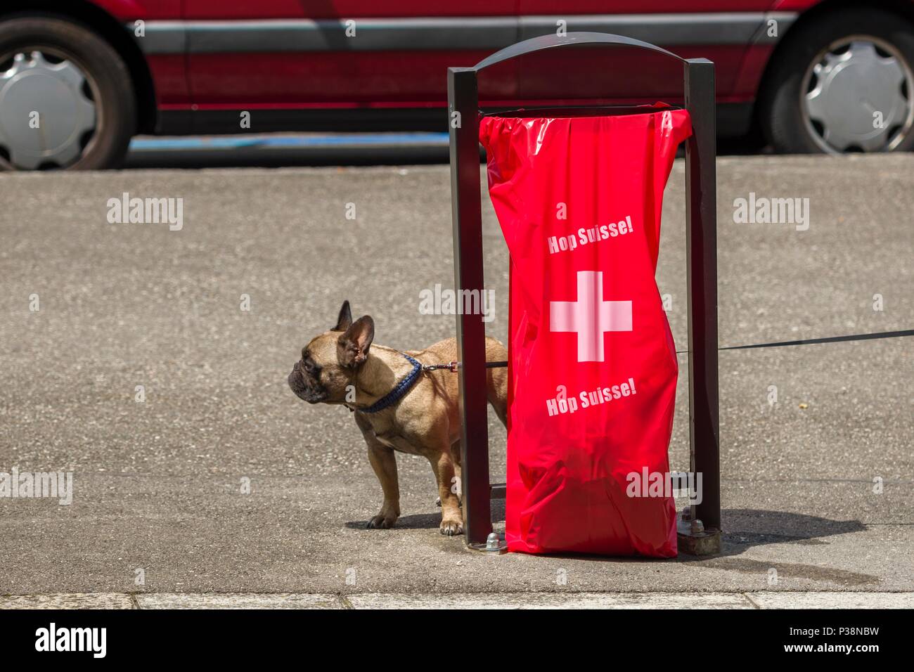 Geneva Switzerland, during the football world cup all the bags of ...