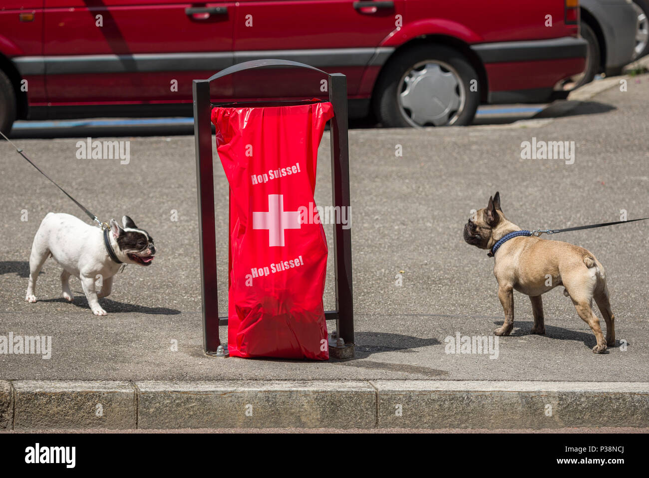 Geneva Switzerland, during the football world cup all the bags of ...