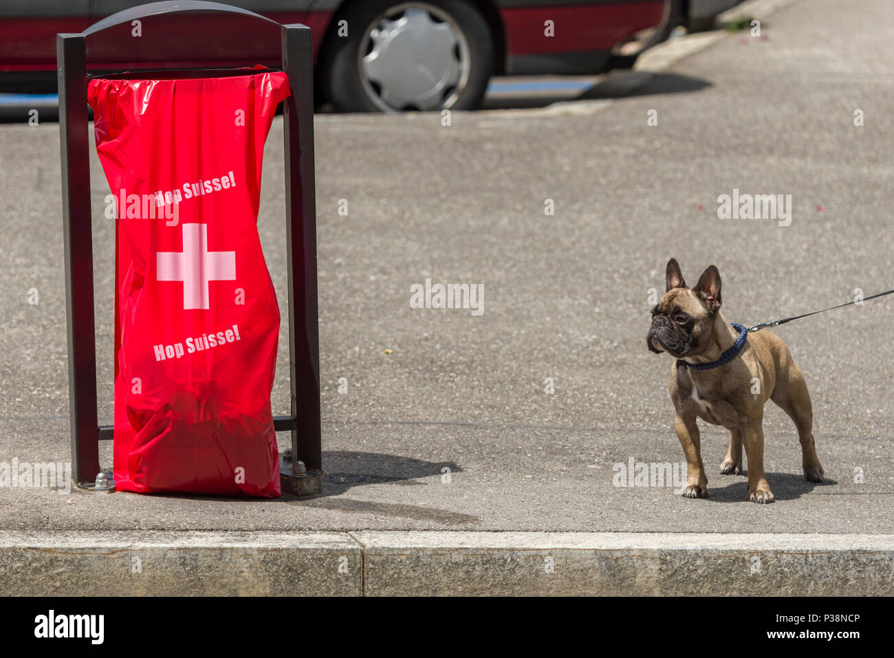 Geneva Switzerland, during the football world cup all the bags of ...