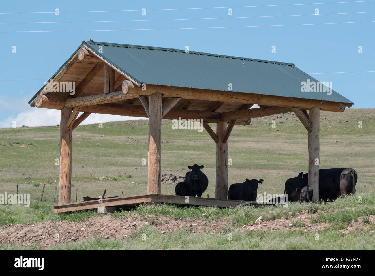Shade structure hi-res stock photography and images - Alamy