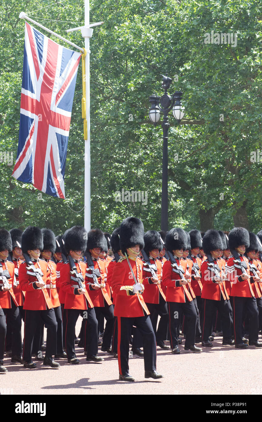 Scots guards regiment hi-res stock photography and images - Alamy