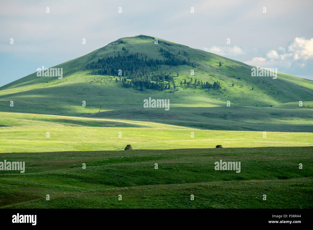 Zumwalt hi-res stock photography and images - Alamy