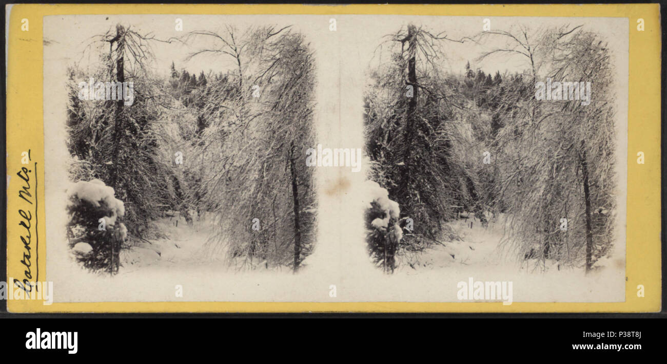 . Ice and snow scene in the Catskills. Coverage: [1860?-1870?]. Source ...