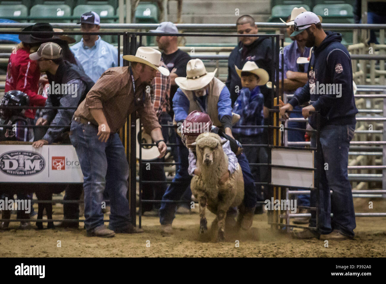Professional rodeo cowboys association hi-res stock photography and ...