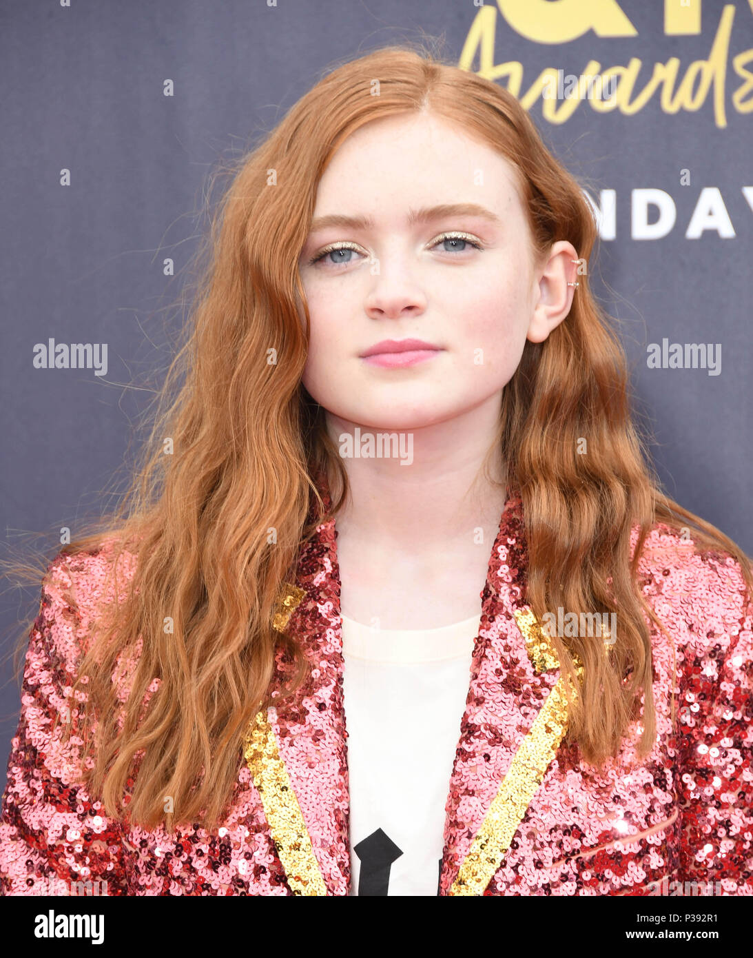 Santa Monica, CA, USA. 16th June, 2018. 16 June 2018 - Santa Monica ...