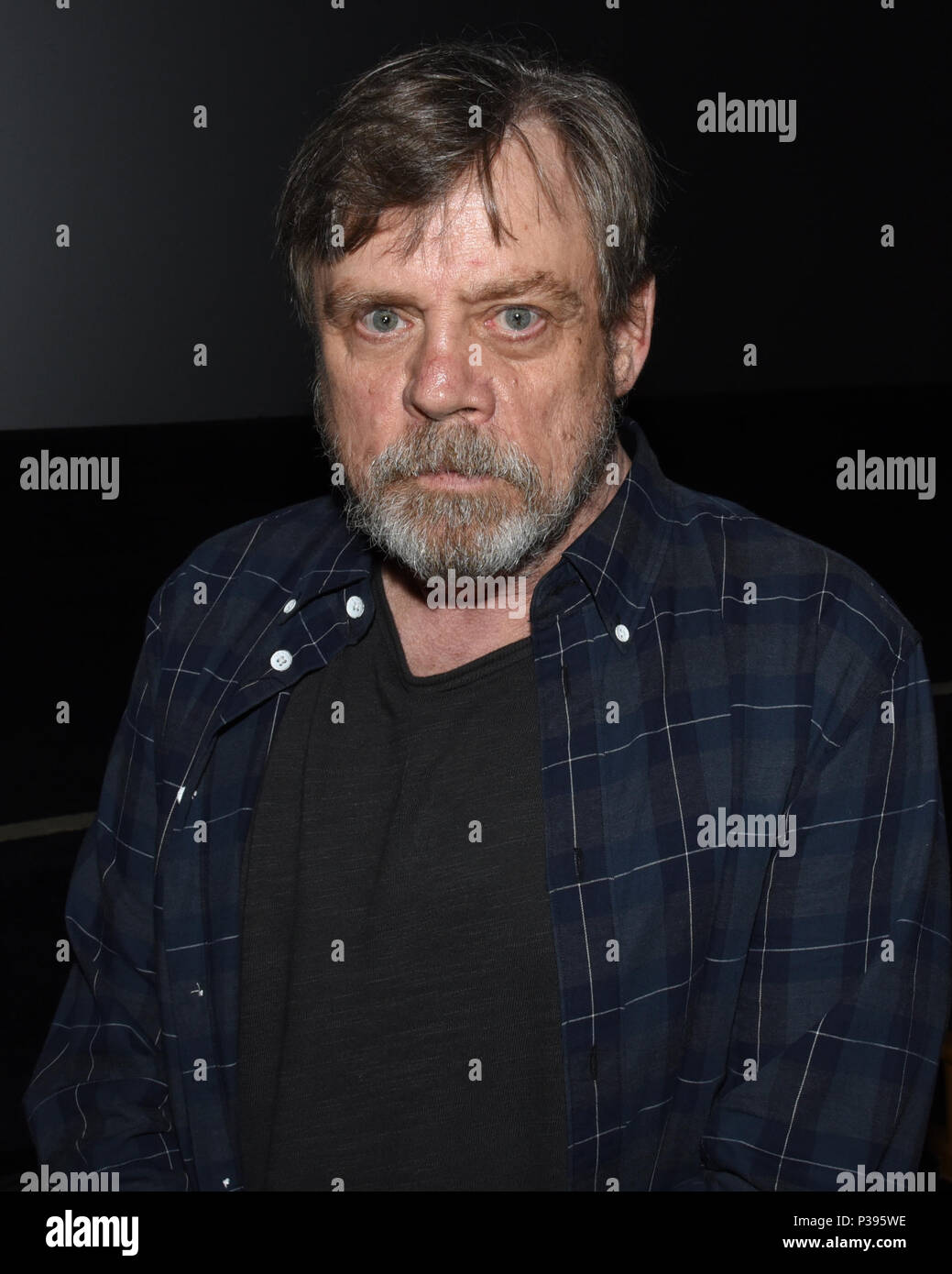 Los Angeles, California, USA. 17th June, 2018. MARK HAMILL attends the ...