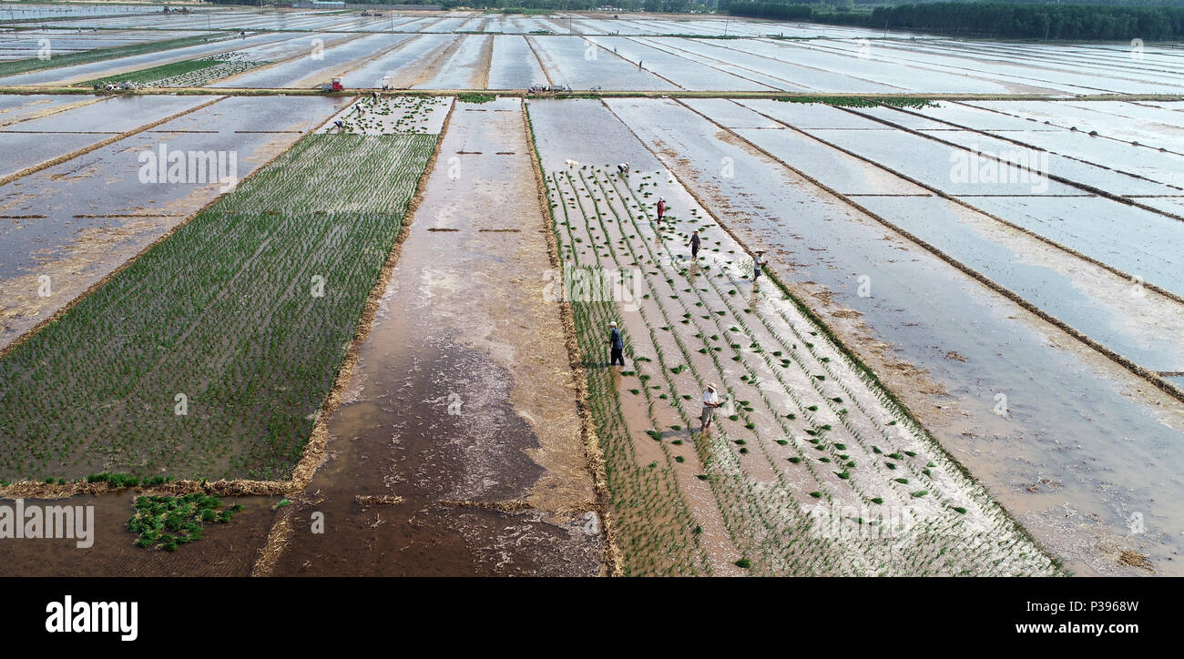 Linyi. 17th June, 2018. Aerial photo taken on June 17, 2018 shows a ...