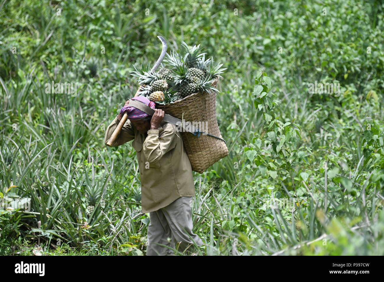 Poor farmers hi-res stock photography and images - Alamy