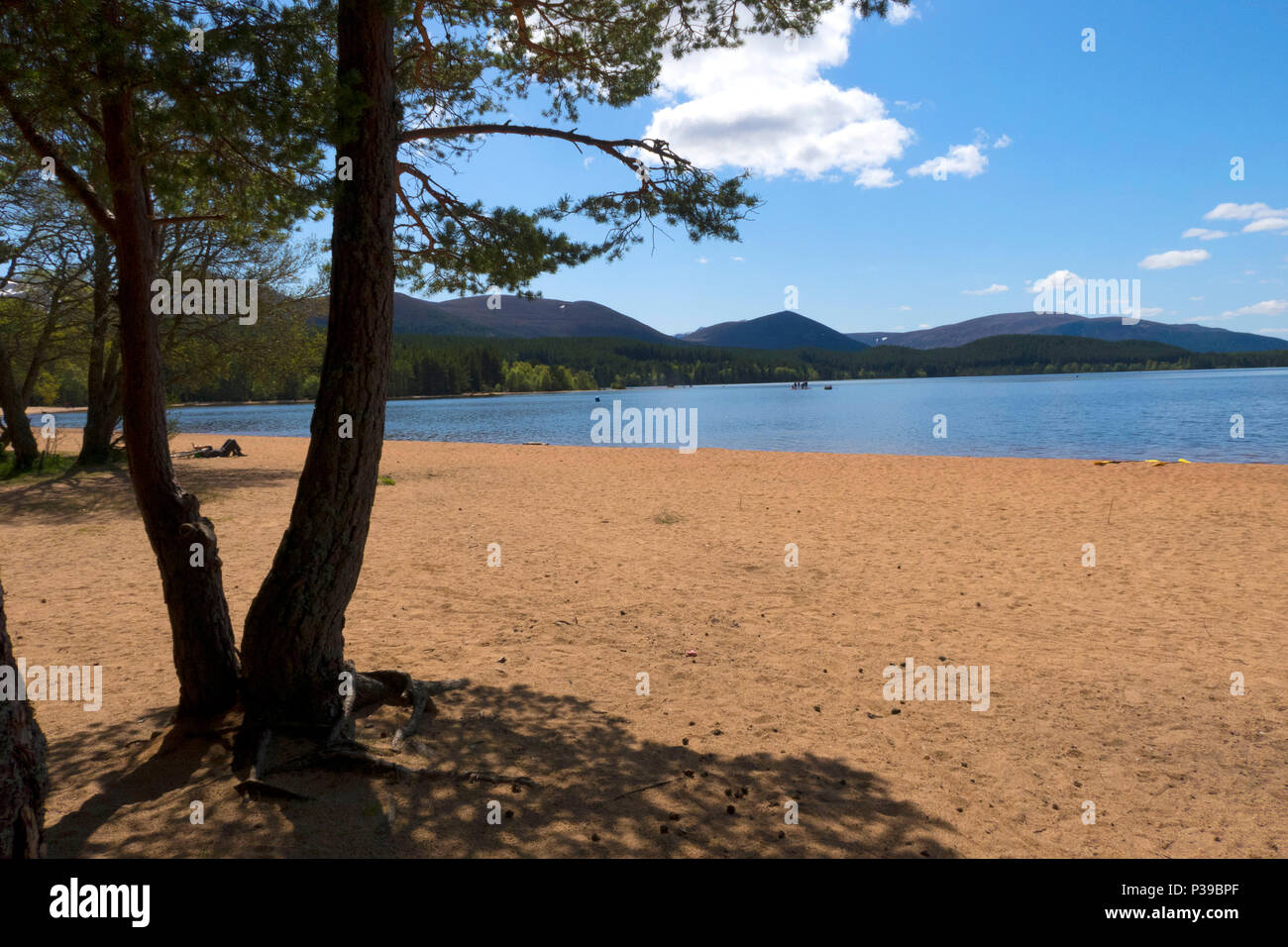 Loch Morlich Scotland Stock Photo - Alamy