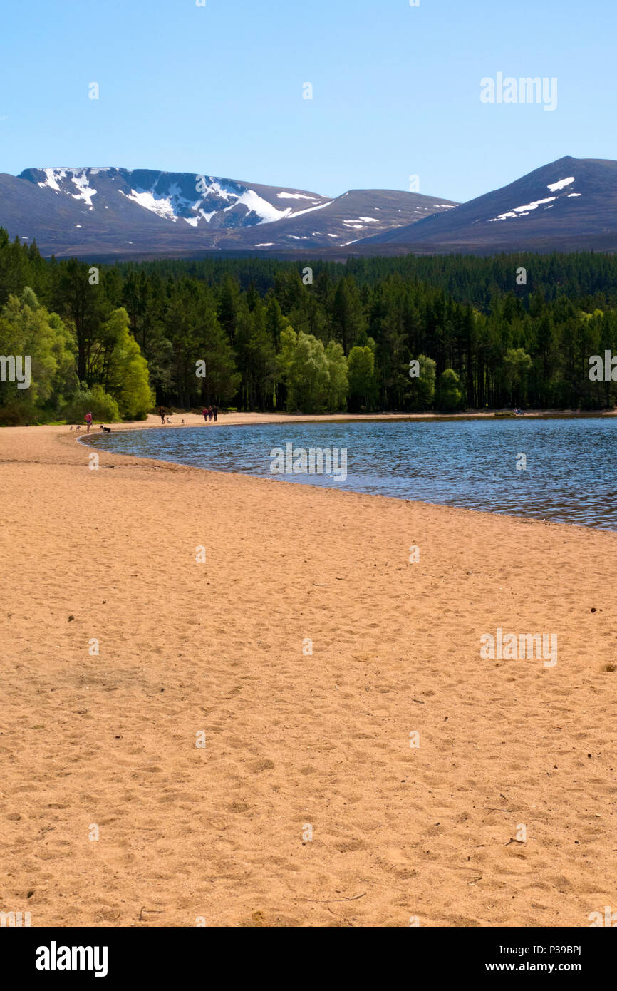 Loch Morlich Scotland Stock Photo - Alamy