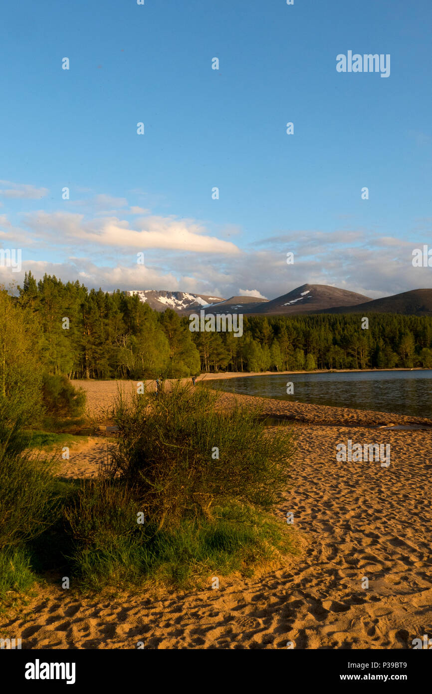 Loch Morlich Scotland Stock Photo - Alamy