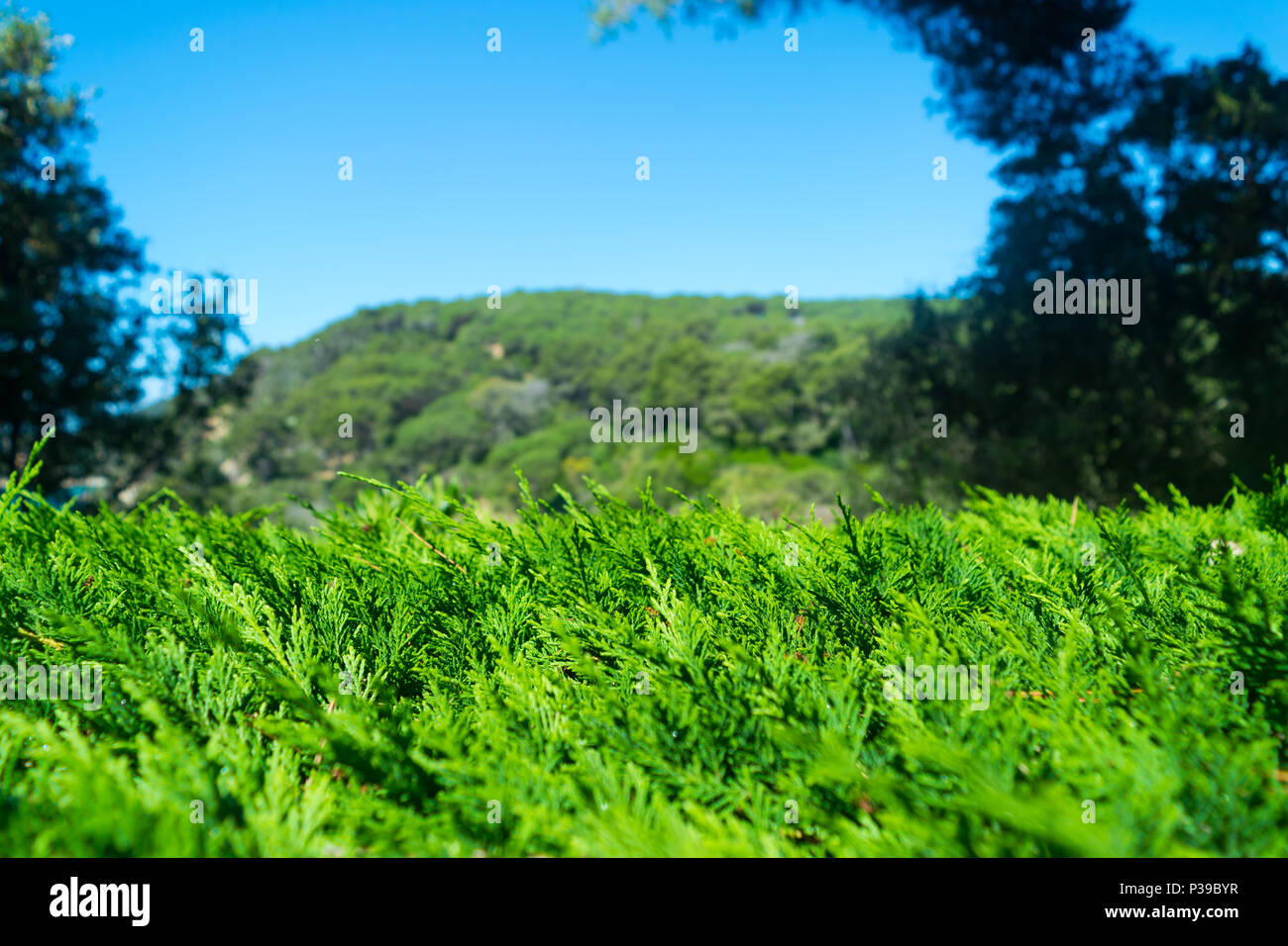 Santa Clotilde Gardens in summer. Spain holidays. Historical parks ...