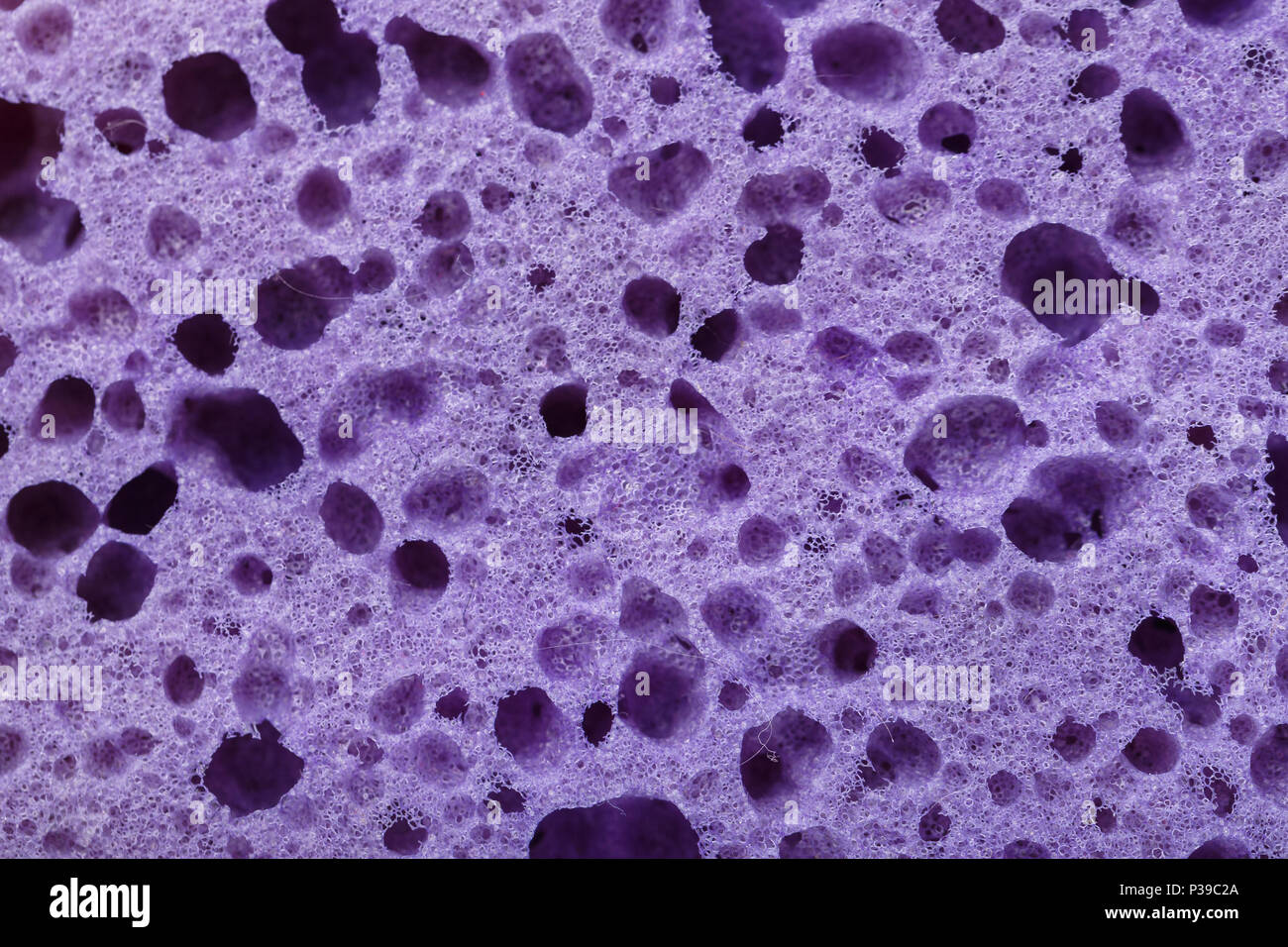 texture of a purple sponge close-up, background Stock Photo - Alamy