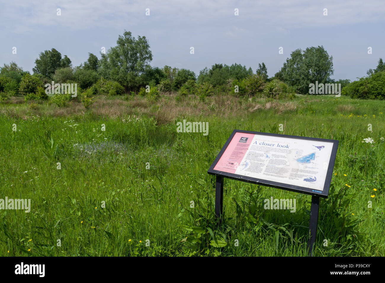 Summer leys nature reserve hi-res stock photography and images - Alamy