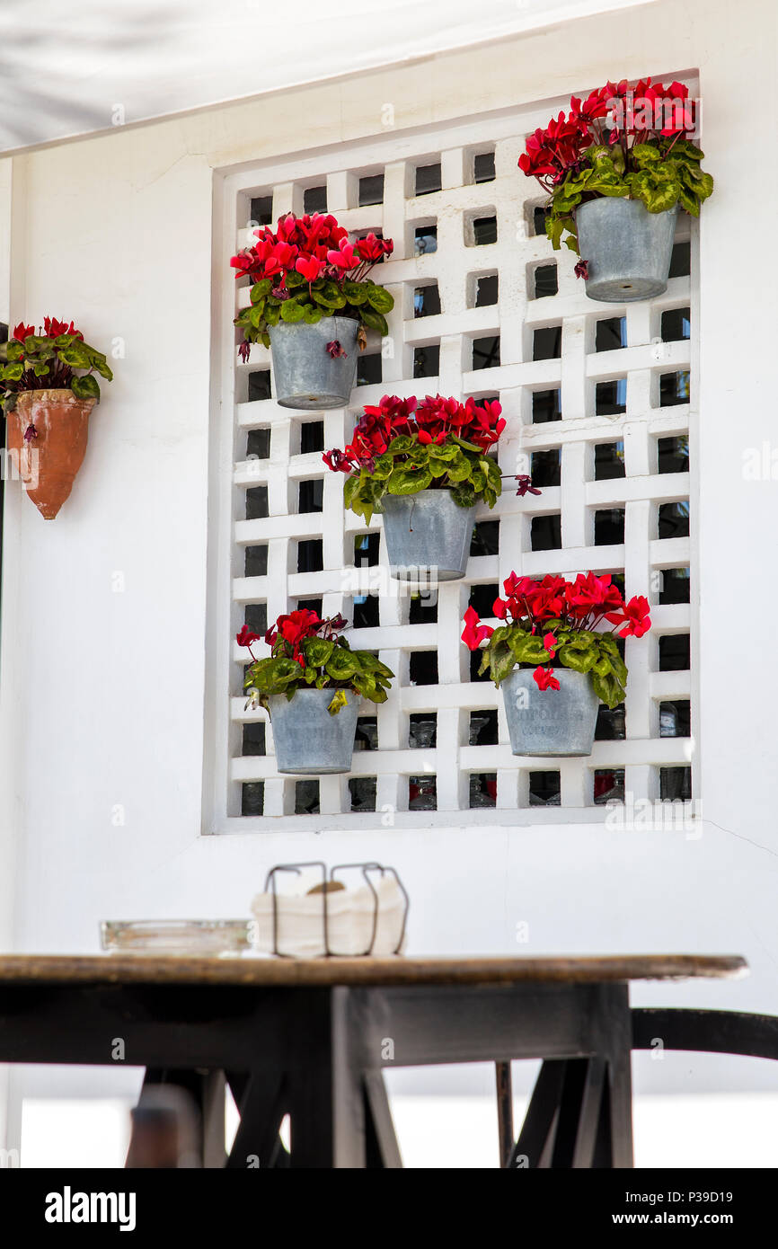 typical whit andalusian patio decorated with geranium pots. Cordoba ...
