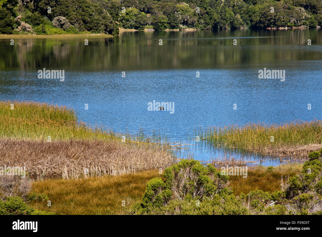 Crystal Springs Reservoir High Resolution Stock Photography and Images ...